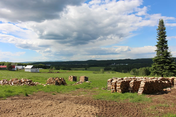 SITE OFFICIEL - Municipalité de Saint-Edouard-de-Maskinongé, QC