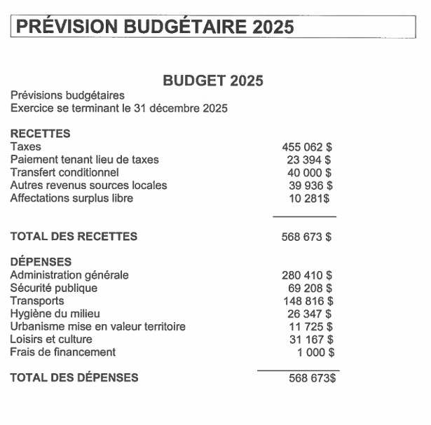 SITE OFFICIEL - Municipalité de Saint-Pierre, Qc - Budget et finances